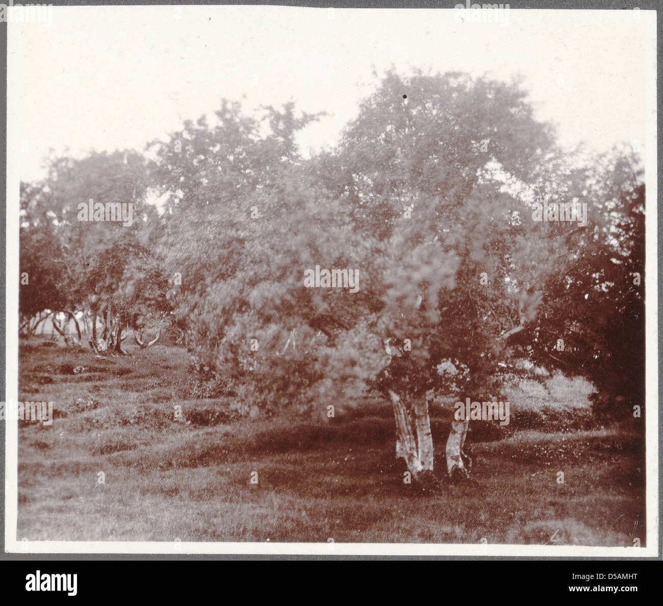 24 feet high hi-res stock photography and images - Alamy