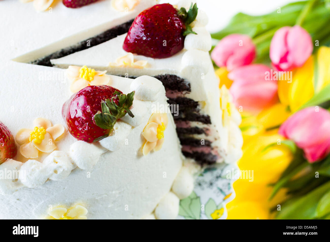 Chocolate Strawberry Lemon Torte made with 6 layers of chocolate cake ...