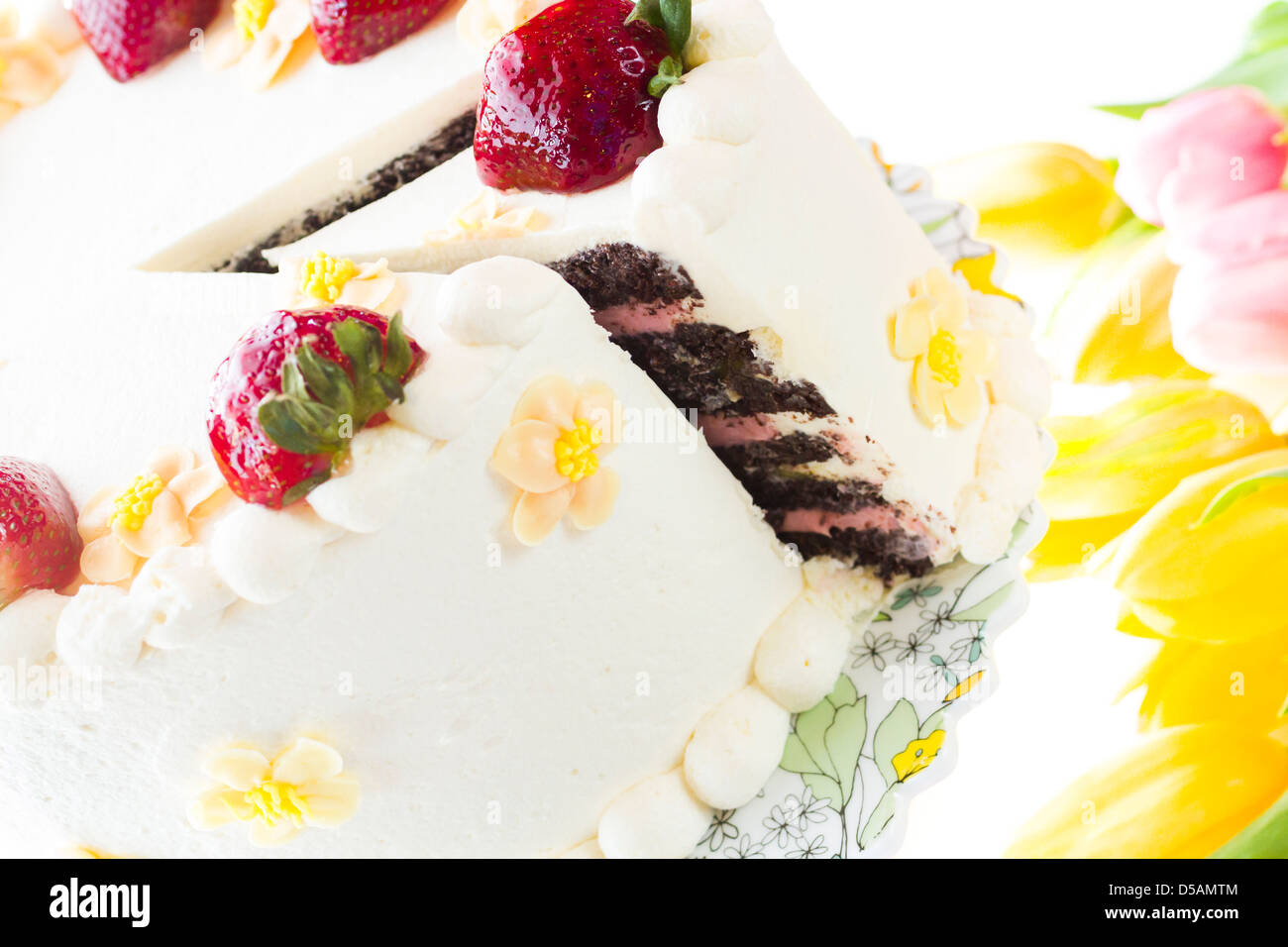 Chocolate Strawberry Lemon Torte made with 6 layers of chocolate cake ...