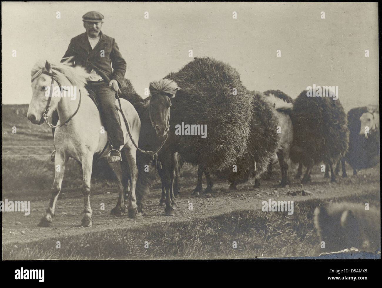 A hay train (heylest Stock Photo - Alamy