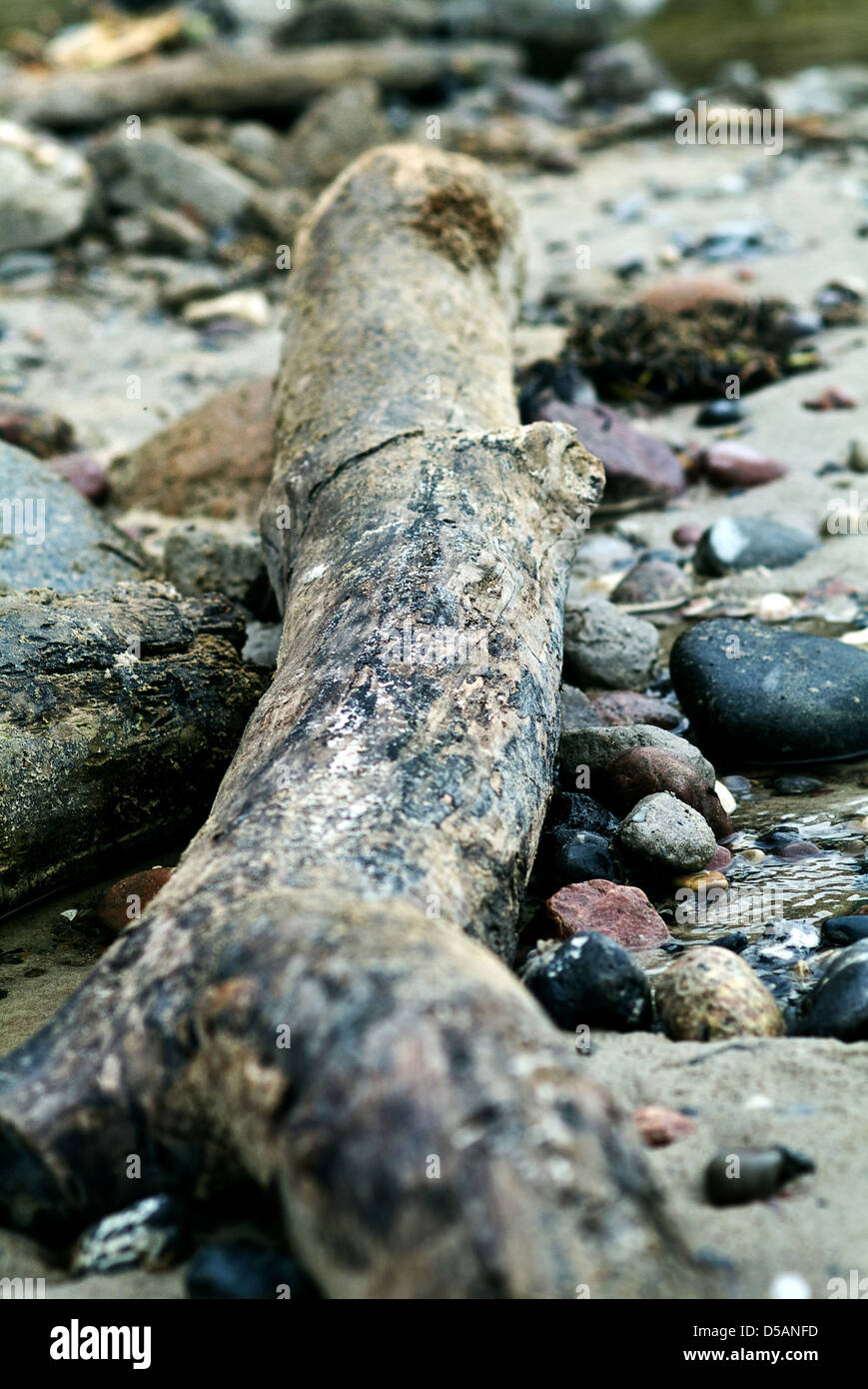 Alluvial stone hi-res stock photography and images - Alamy