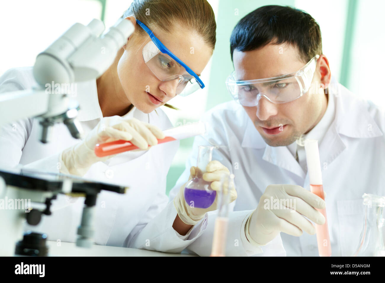 Professional team of researchers working together in the laboratory ...