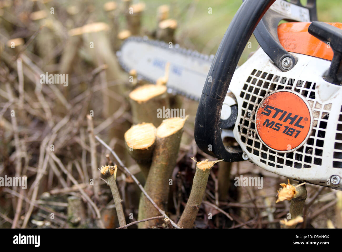 Stihl germany hi-res stock photography and images - Alamy