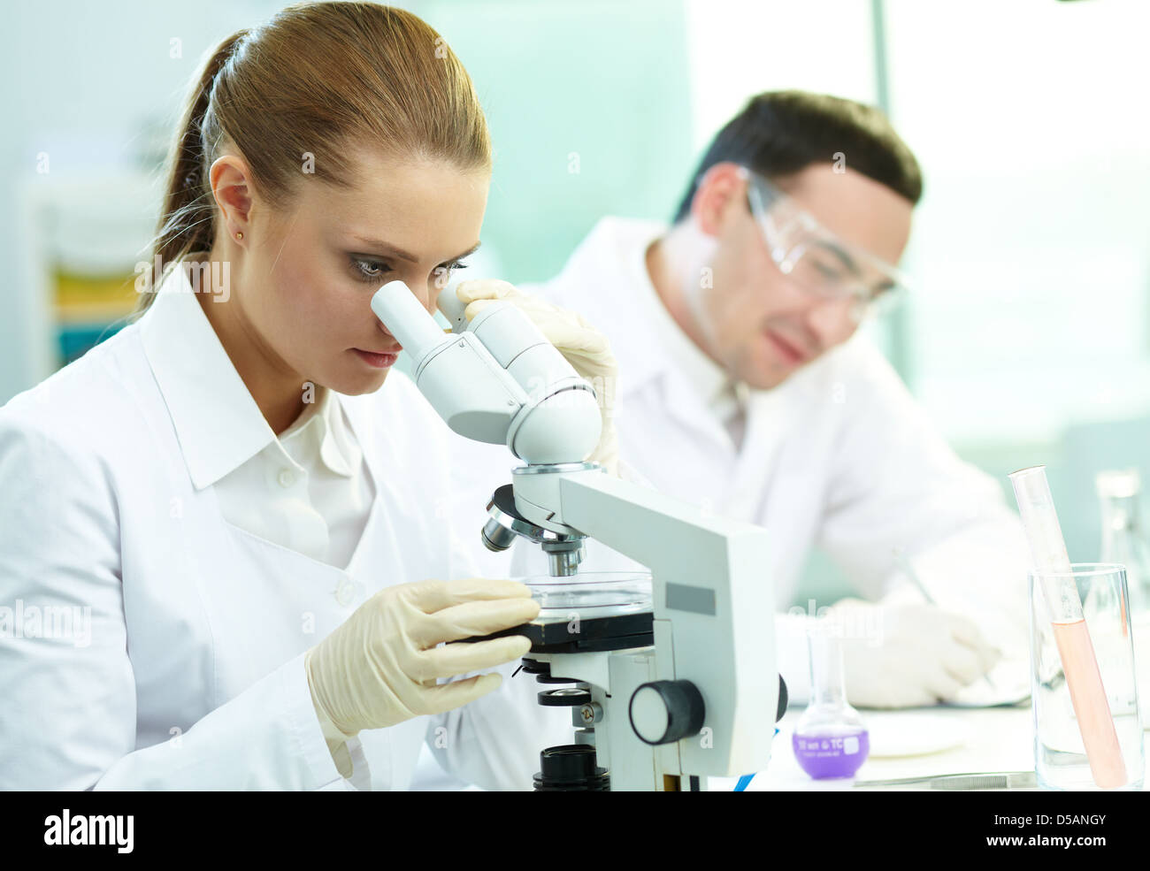 Pretty intern studying a specimen under the microscope, her colleague ...