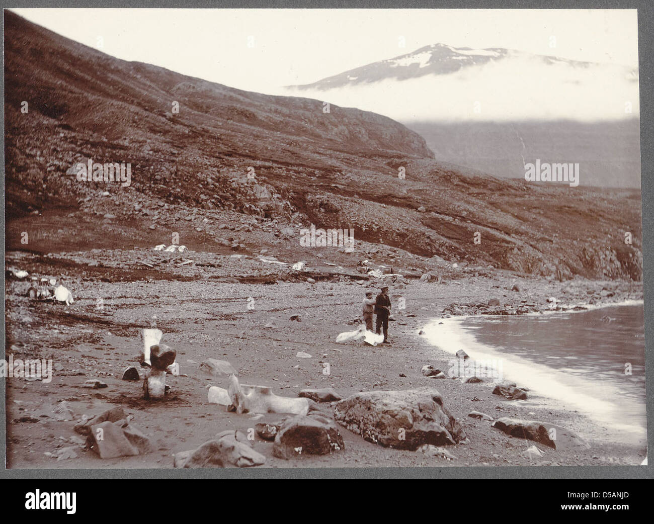 Value none hi-res stock photography and images - Alamy