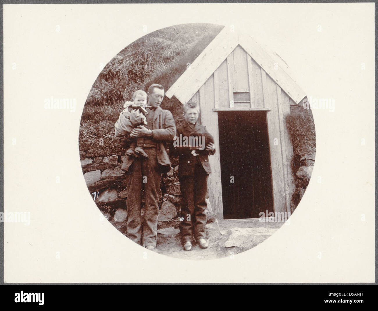 A photograph showing an Icelander’s pet in the town of Foss, Iceland ...