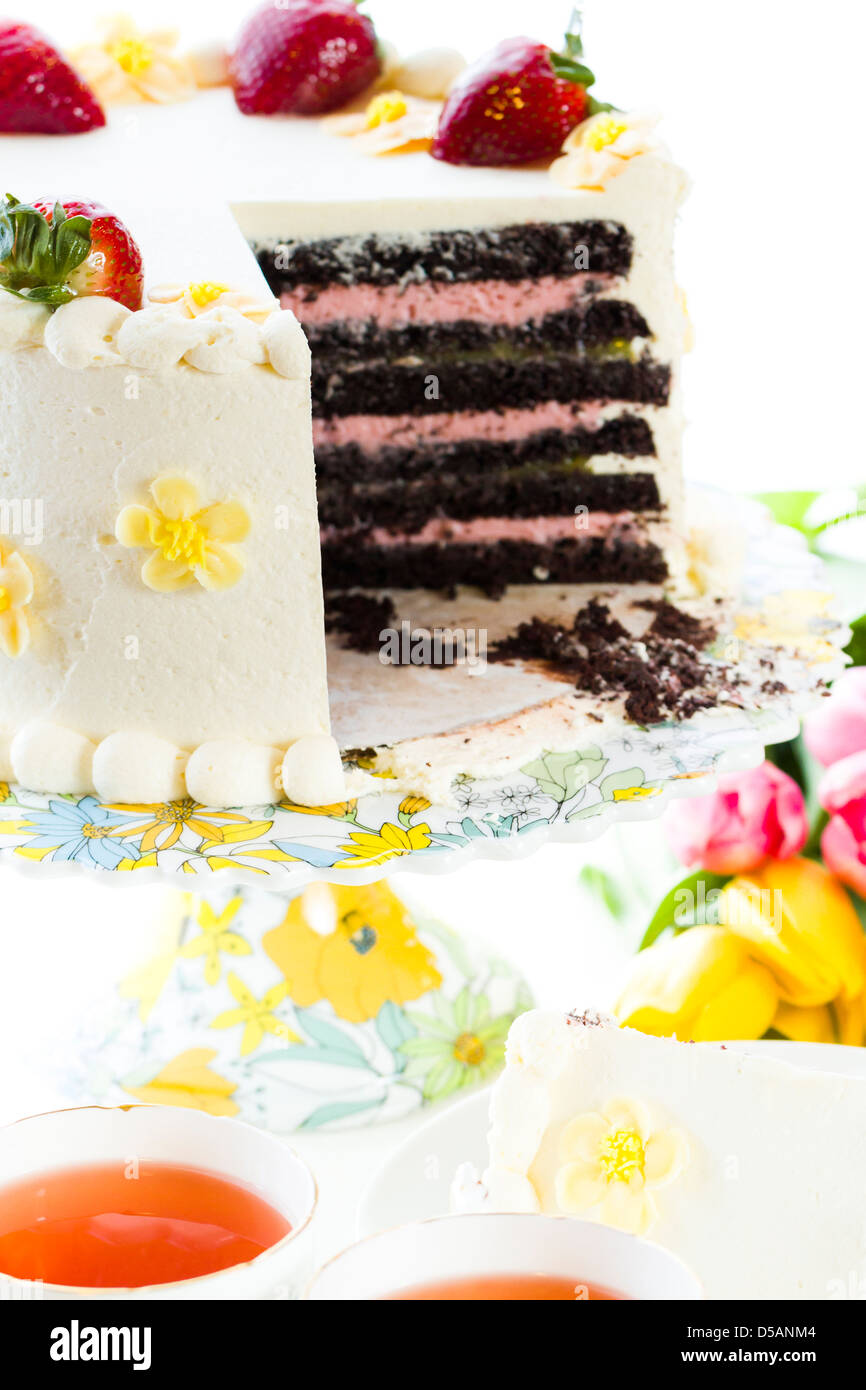 Chocolate Strawberry Lemon Torte made with 6 layers of chocolate cake ...