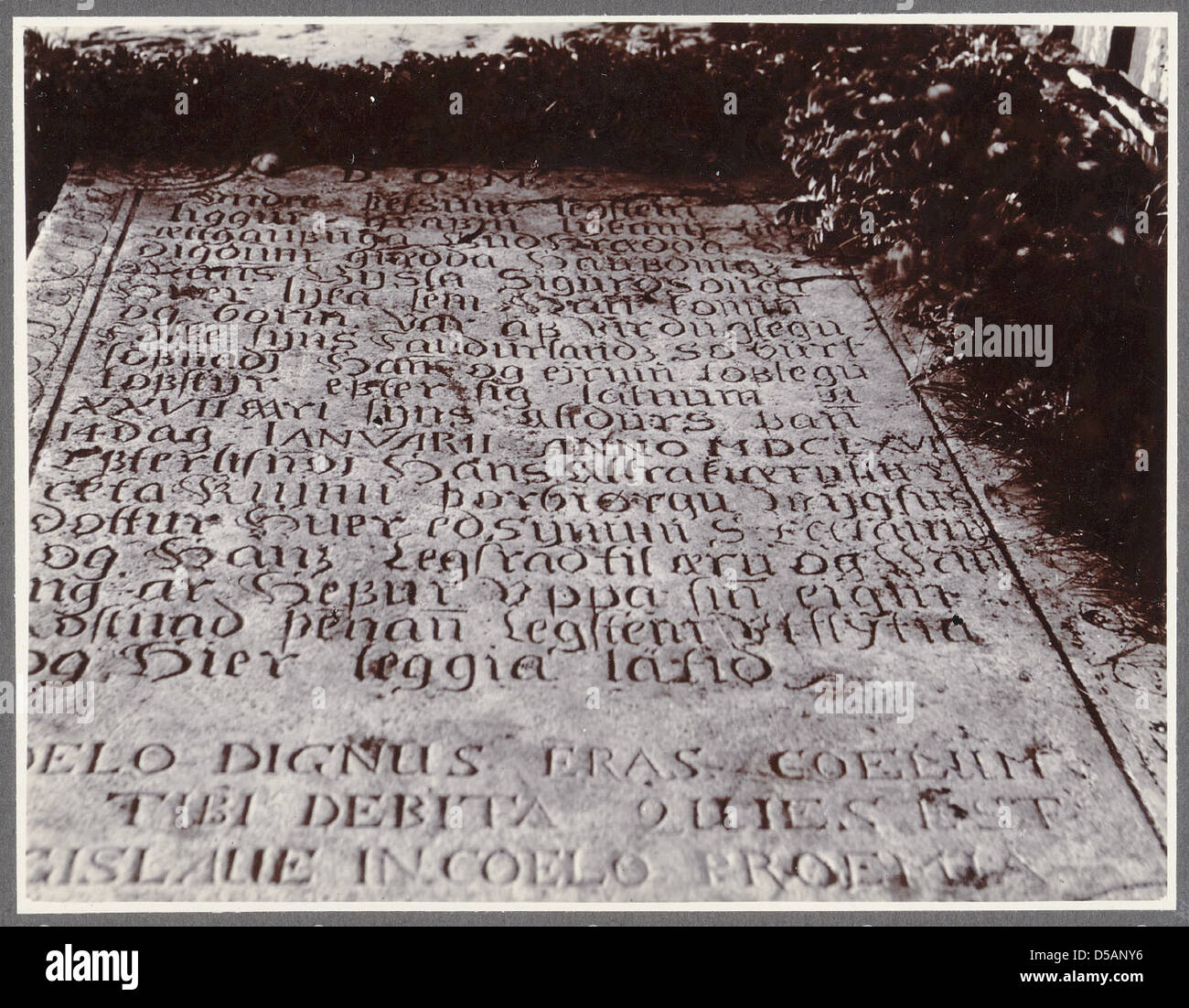 Tombstone with latin inscription hi-res stock photography and images ...