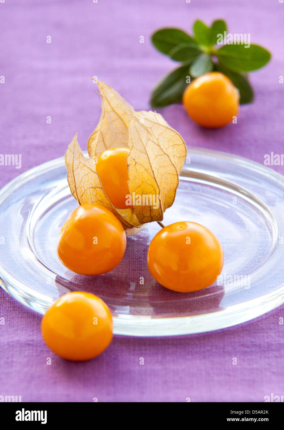 physalis(fruit) on a glass plate Stock Photo - Alamy