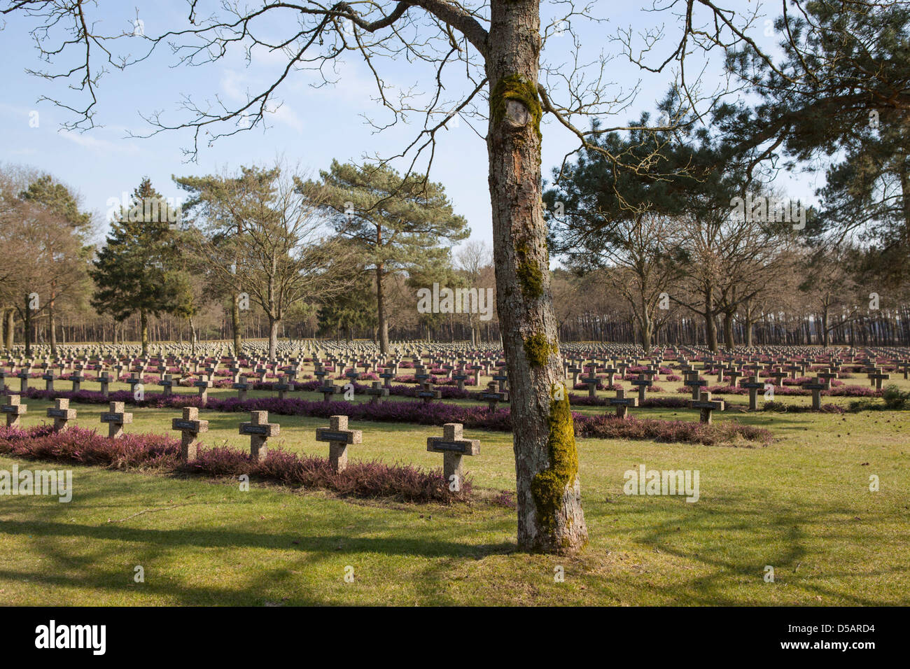 German War Cemetery at Kattenbos Lommel in Belgium with 542 dead from ...