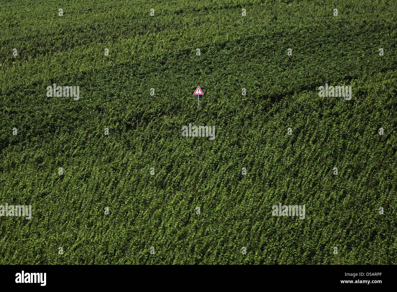 An attention(!)-sign is situated in the middle of innuberable vines of ...