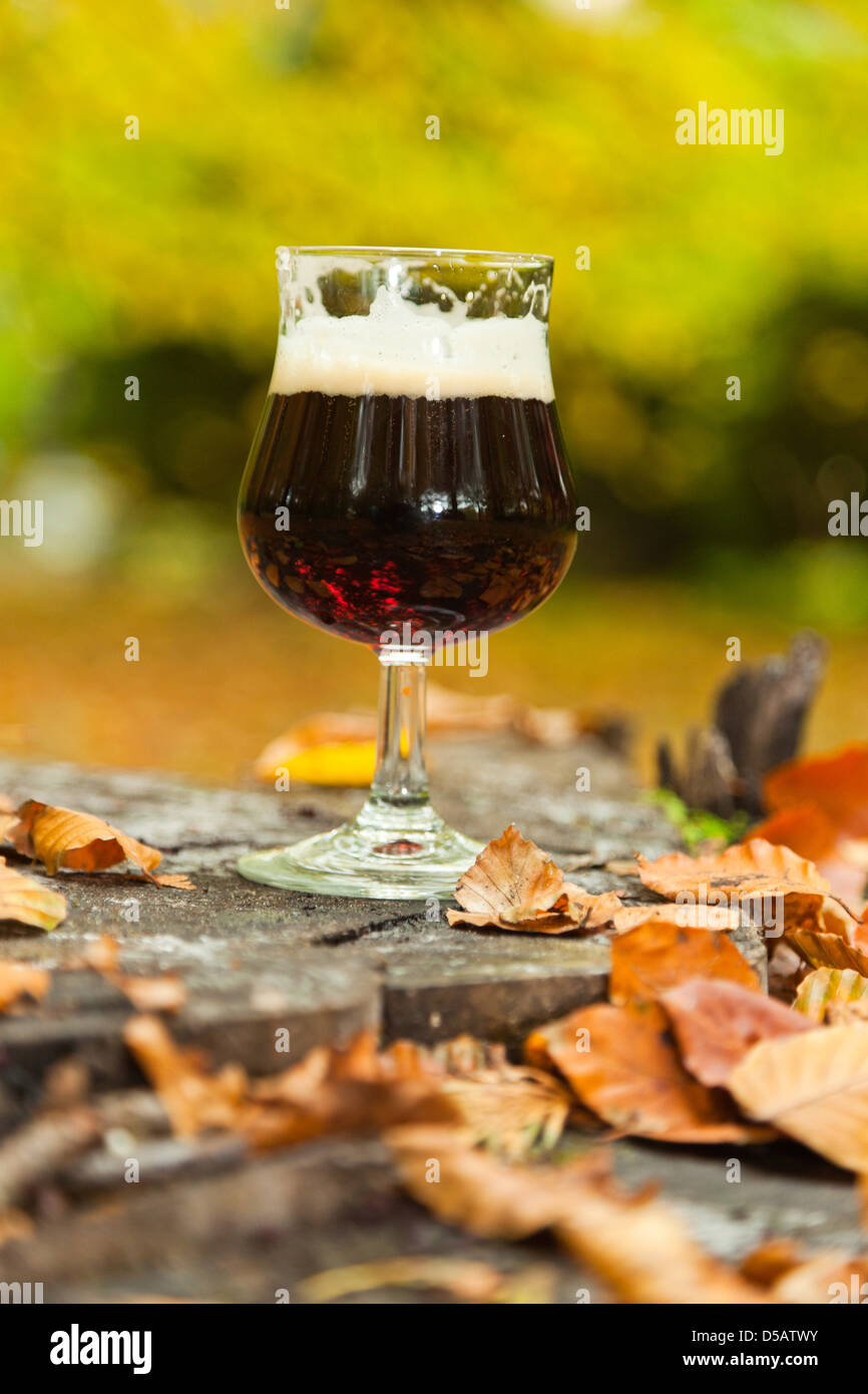 Root beer tree hi-res stock photography and images - Alamy