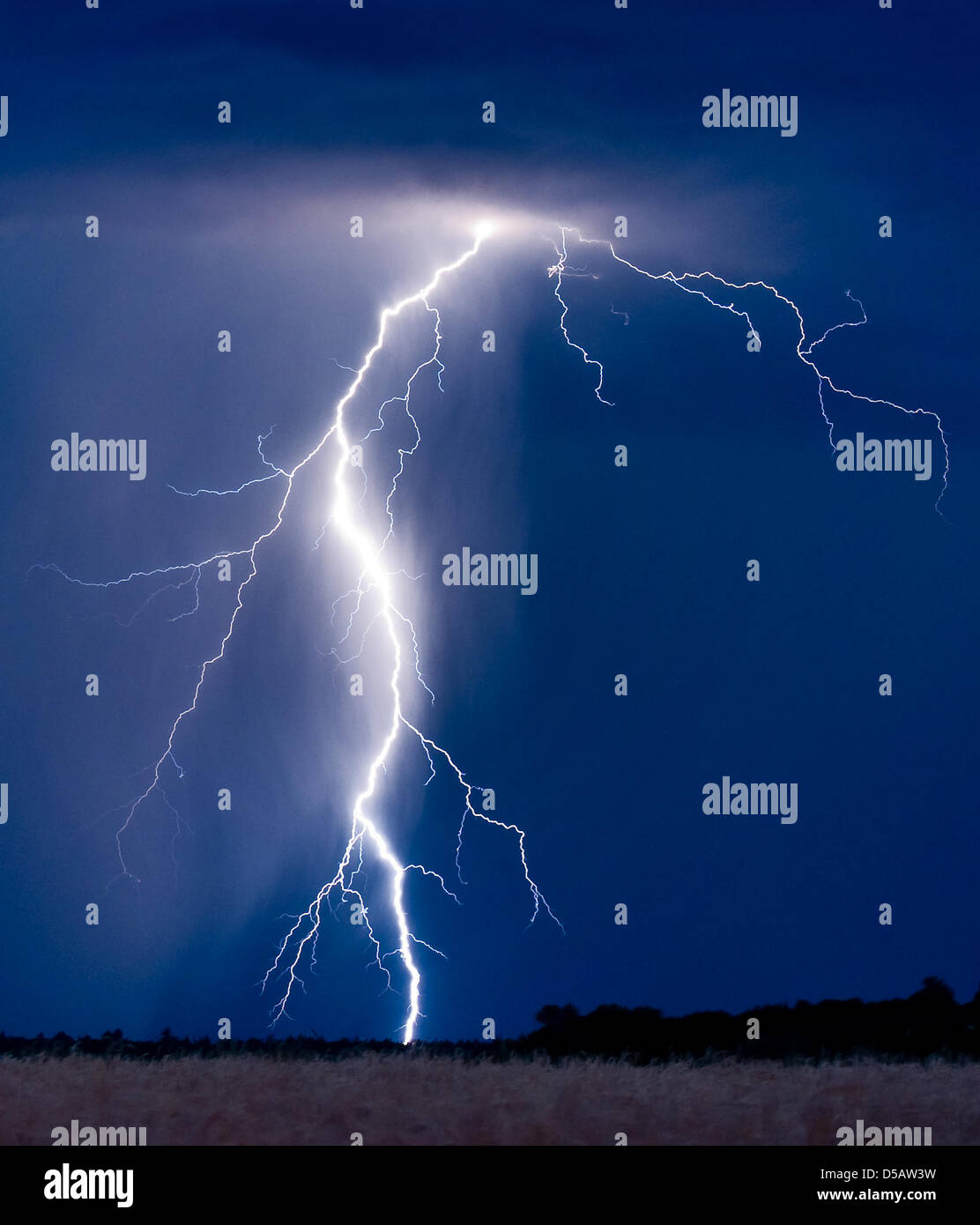 Bolts of lightning illuminate the sky over Scharmuetzel lake near Bad ...