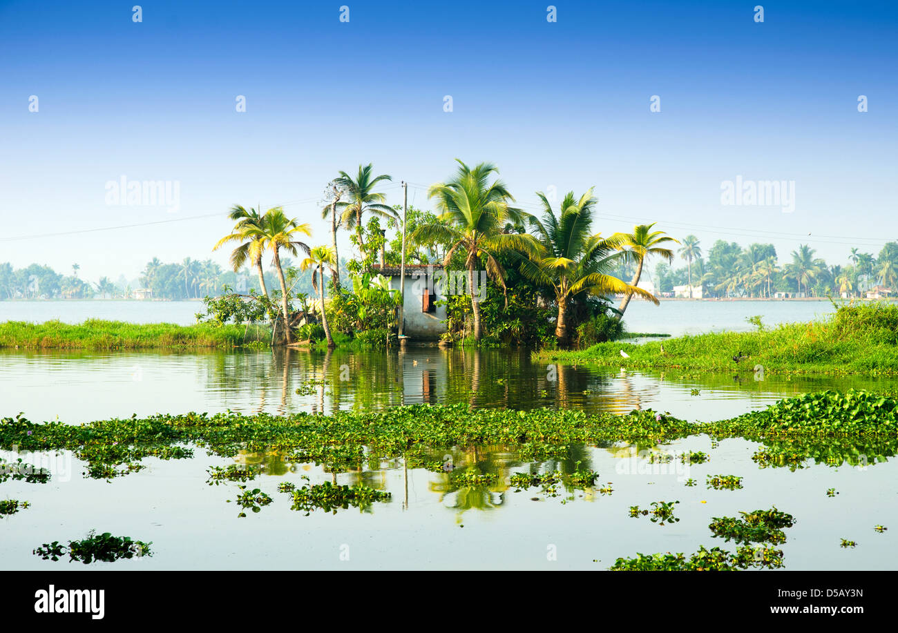 A hut on a lake, Alleppey, Kerala, India Stock Photo - Alamy