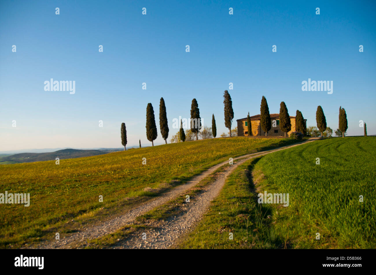 Lone farmhouse in Tuscany, Italy Stock Photo - Alamy