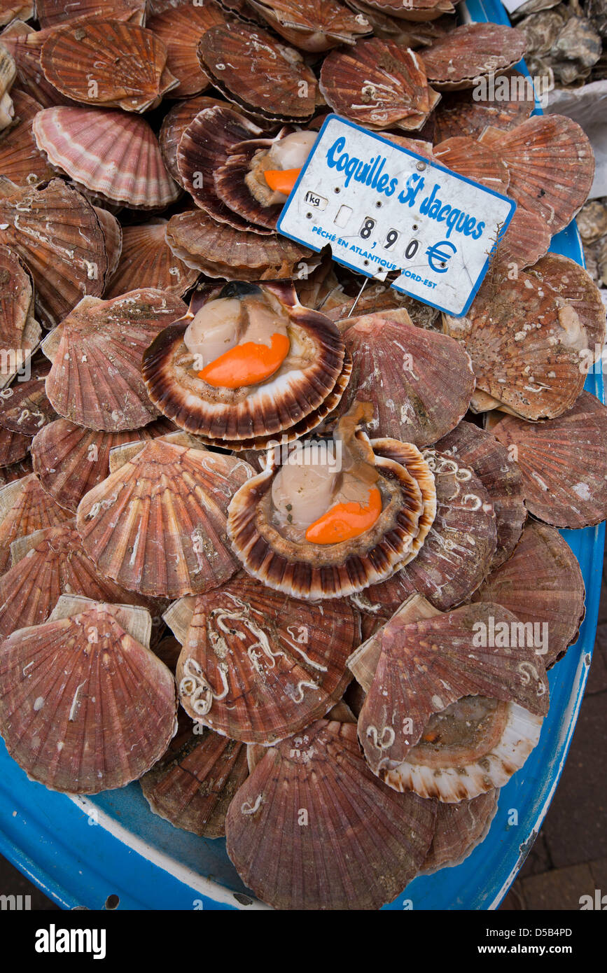 Coquilles st jacques hi-res stock photography and images - Alamy