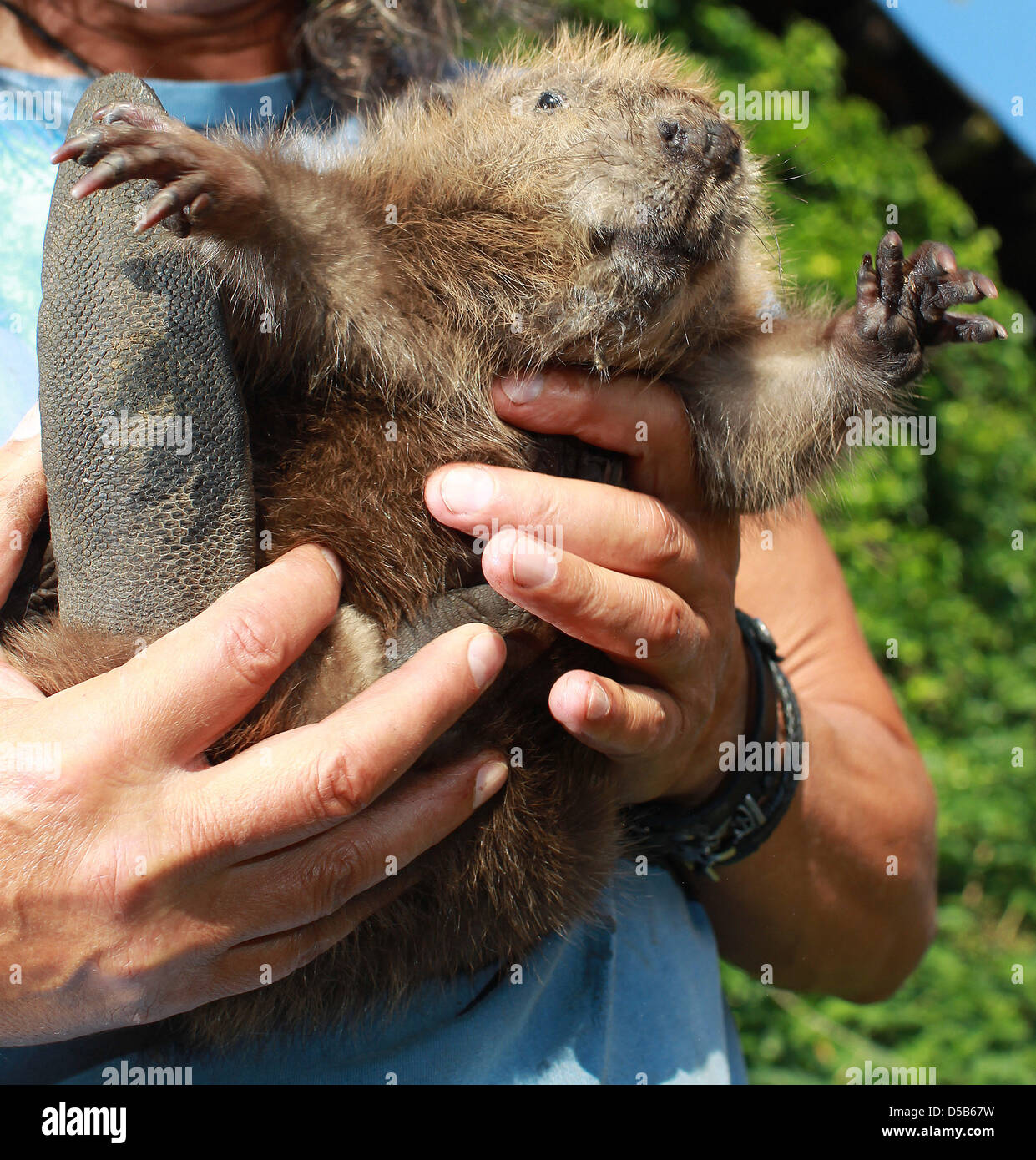 Week eleven hi-res stock photography and images - Alamy