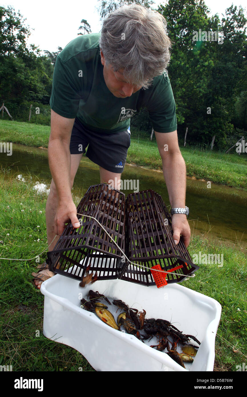 Edelkrebs hi-res stock photography and images - Alamy