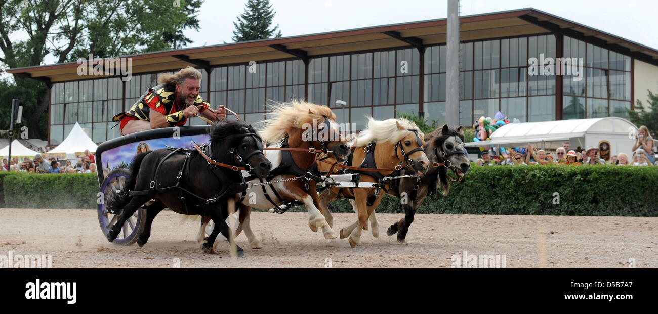 A charioteer races in his chariot as it is dragged by four ponies at ...
