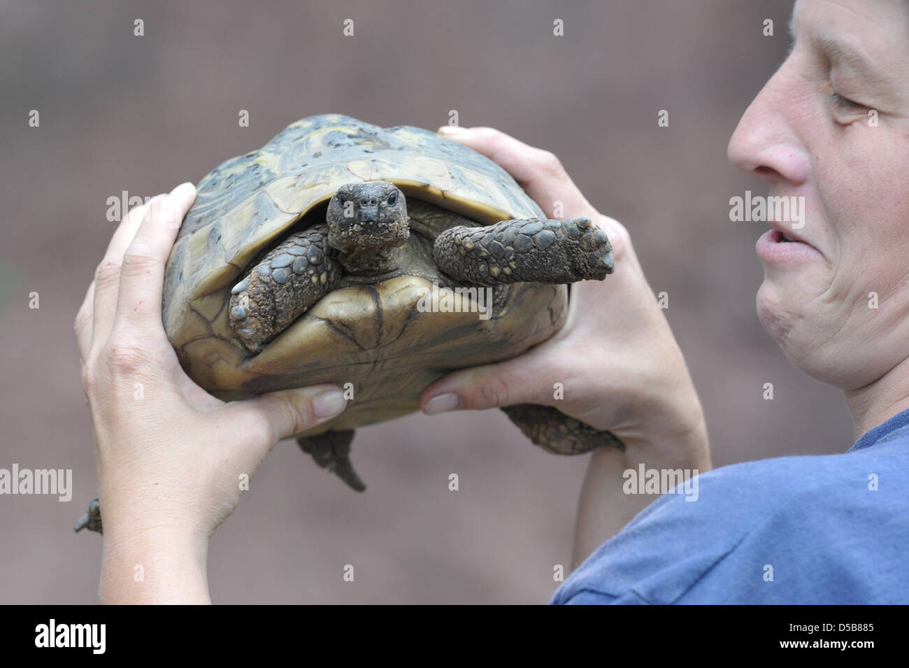 Zoo nuernberg hi-res stock photography and images - Alamy