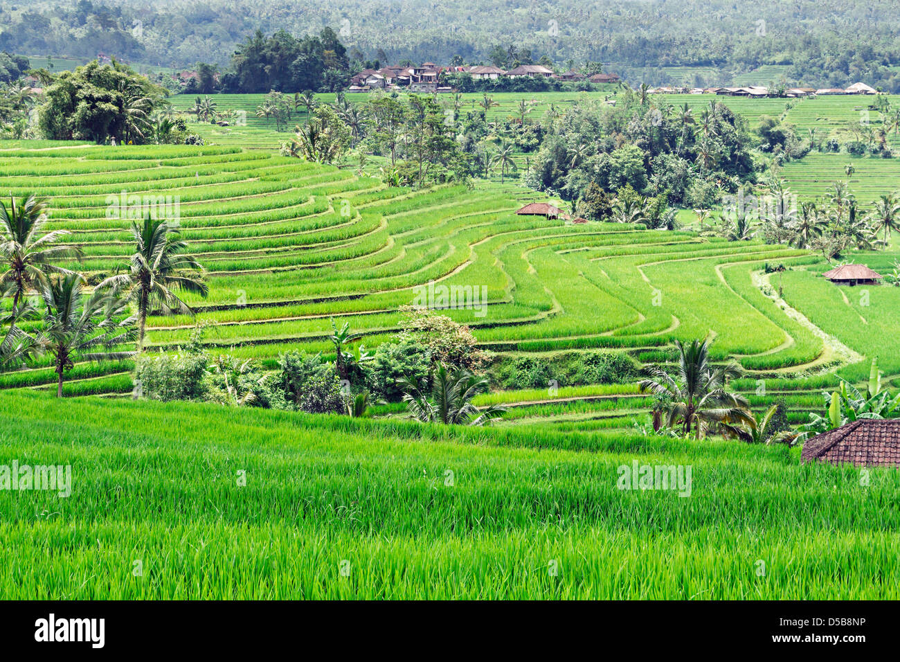 Beautiful peaceful view irrigation hi-res stock photography and images ...