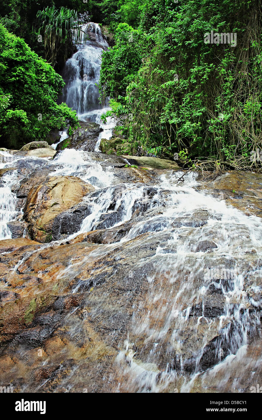 Beautiful waterfall in the jungle Stock Photo - Alamy