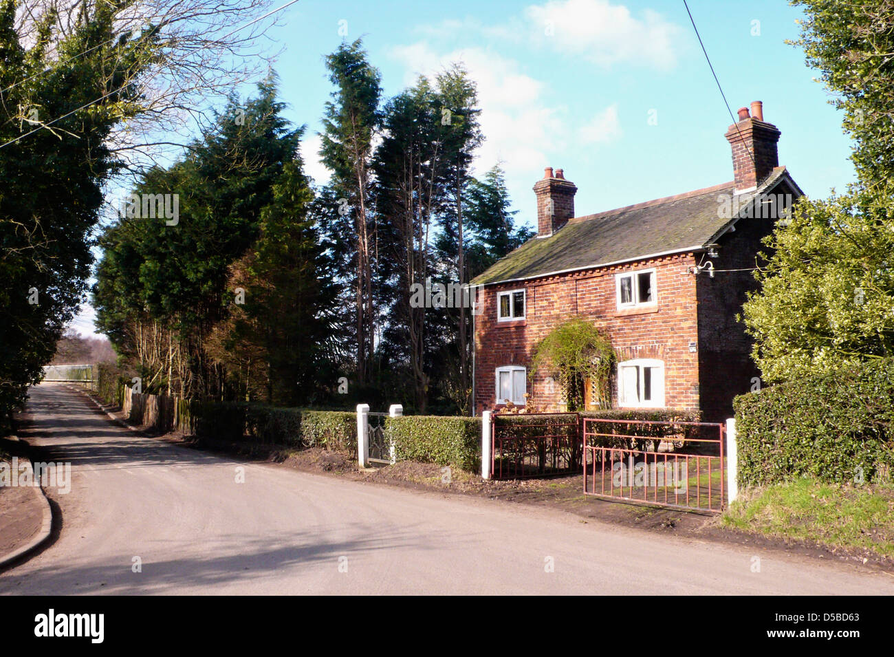 Old holly tree uk hi-res stock photography and images - Alamy