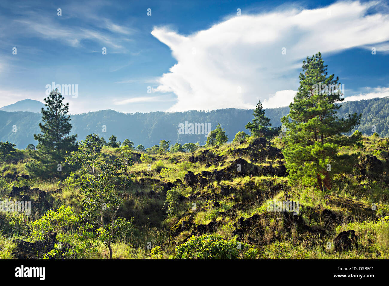 Colorful clinker hi-res stock photography and images - Alamy