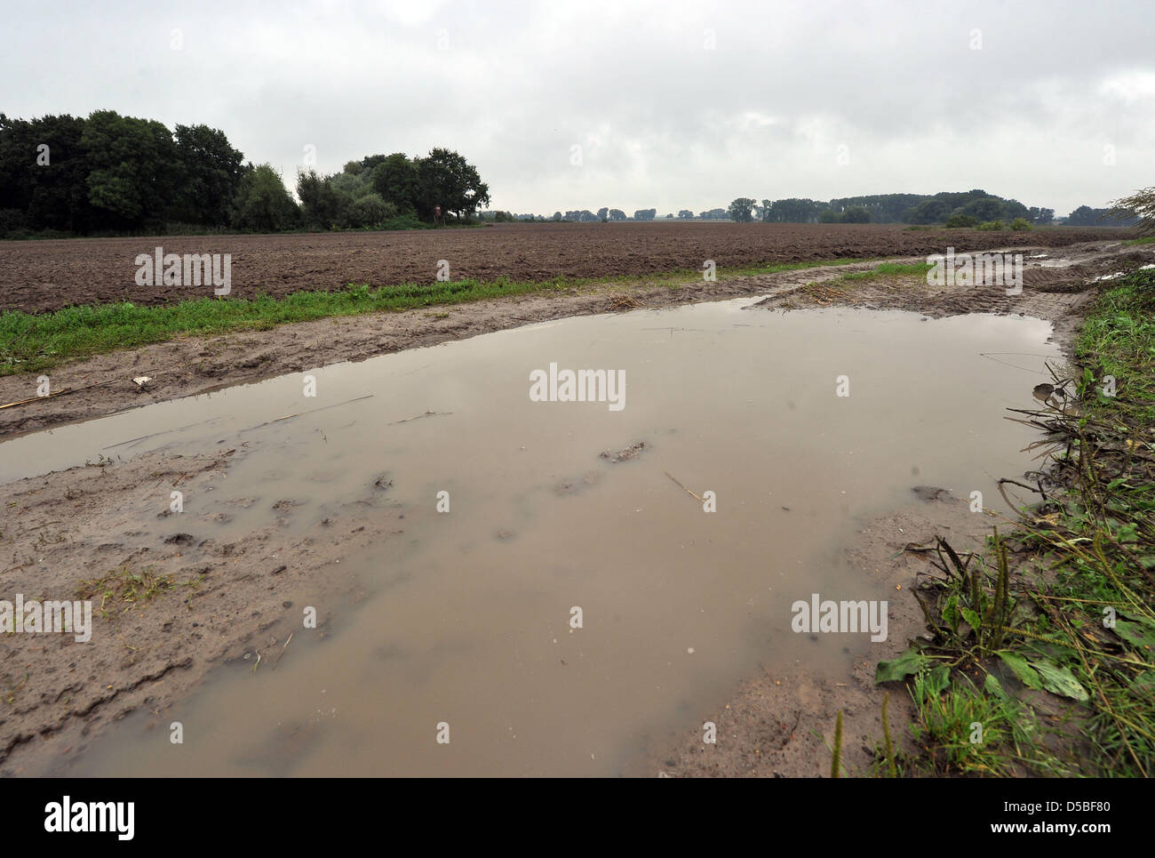 A big puddle formed itself next to a harvested crop field in ...