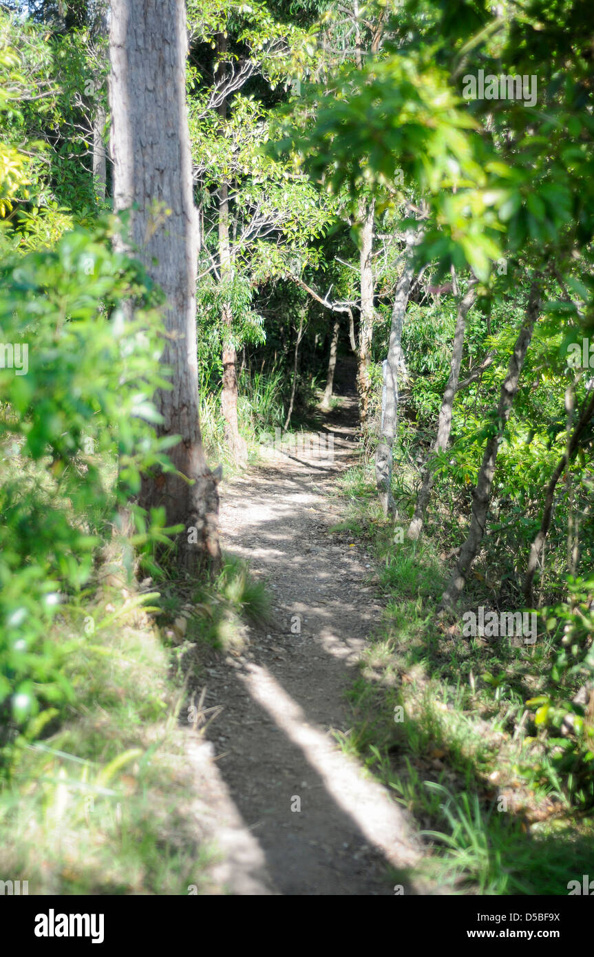 Sunlit path hi-res stock photography and images - Alamy