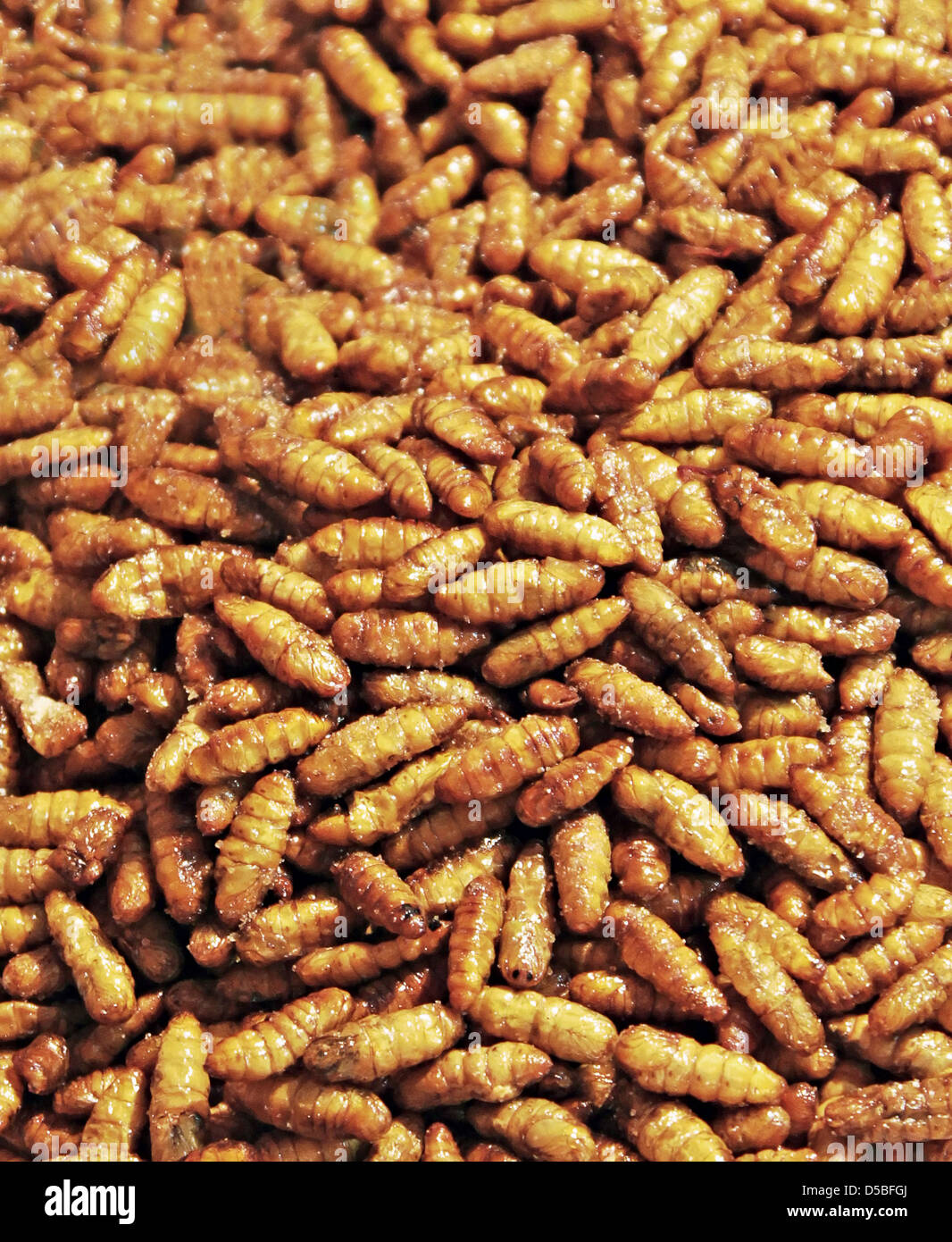 Fried larvaes on Thailand market Stock Photo - Alamy