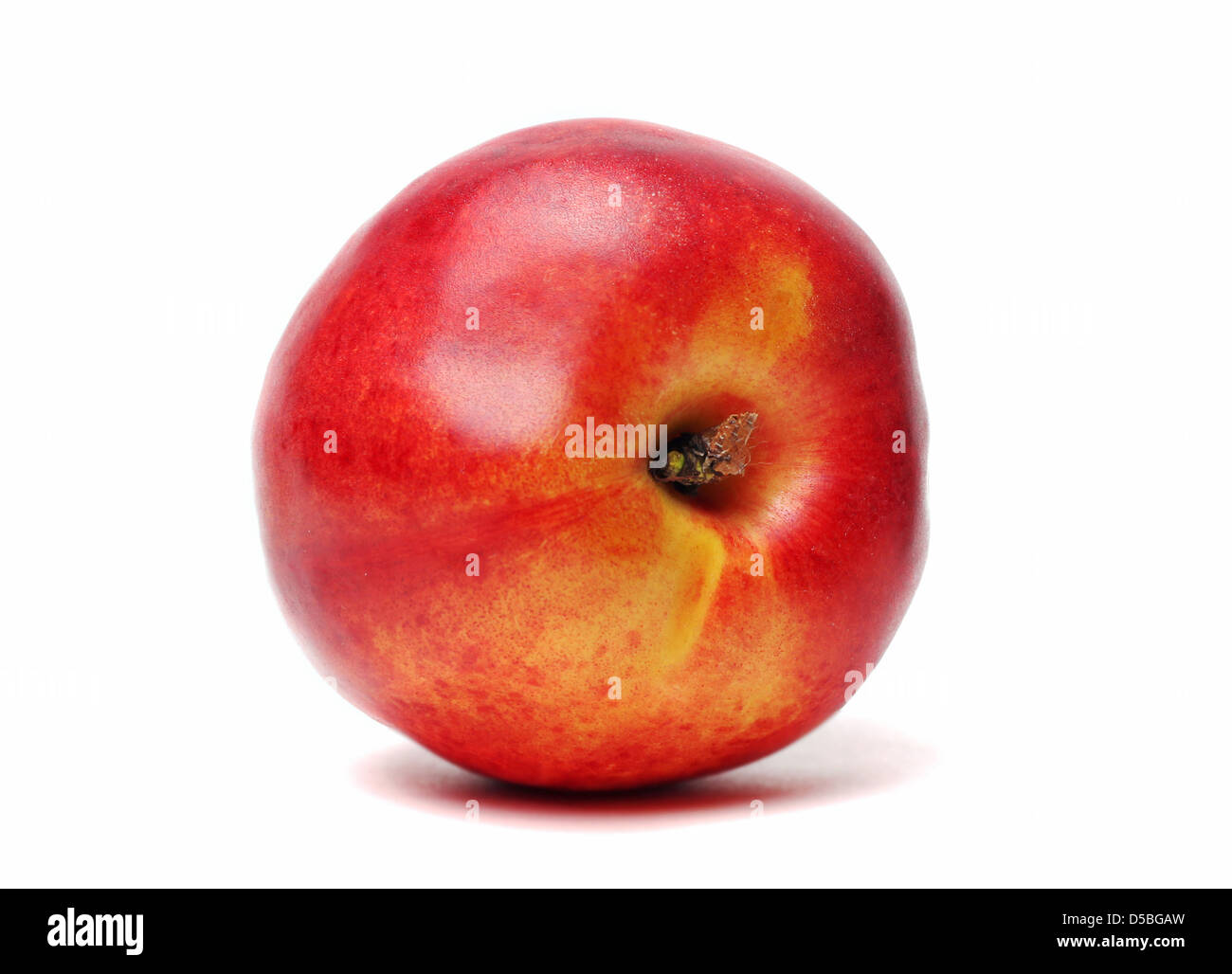 Single nectarine isolated on a white background Stock Photo - Alamy
