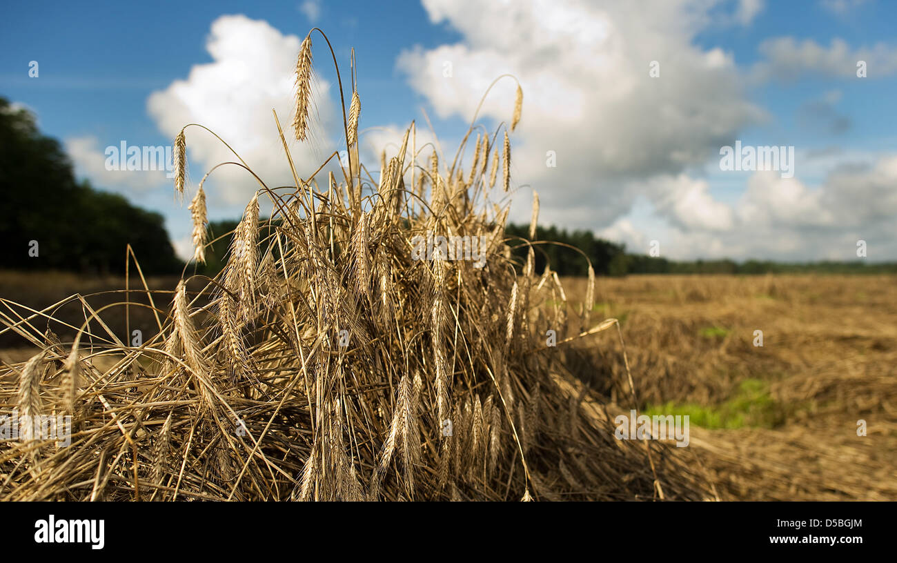 Crops destroyed hi-res stock photography and images - Alamy