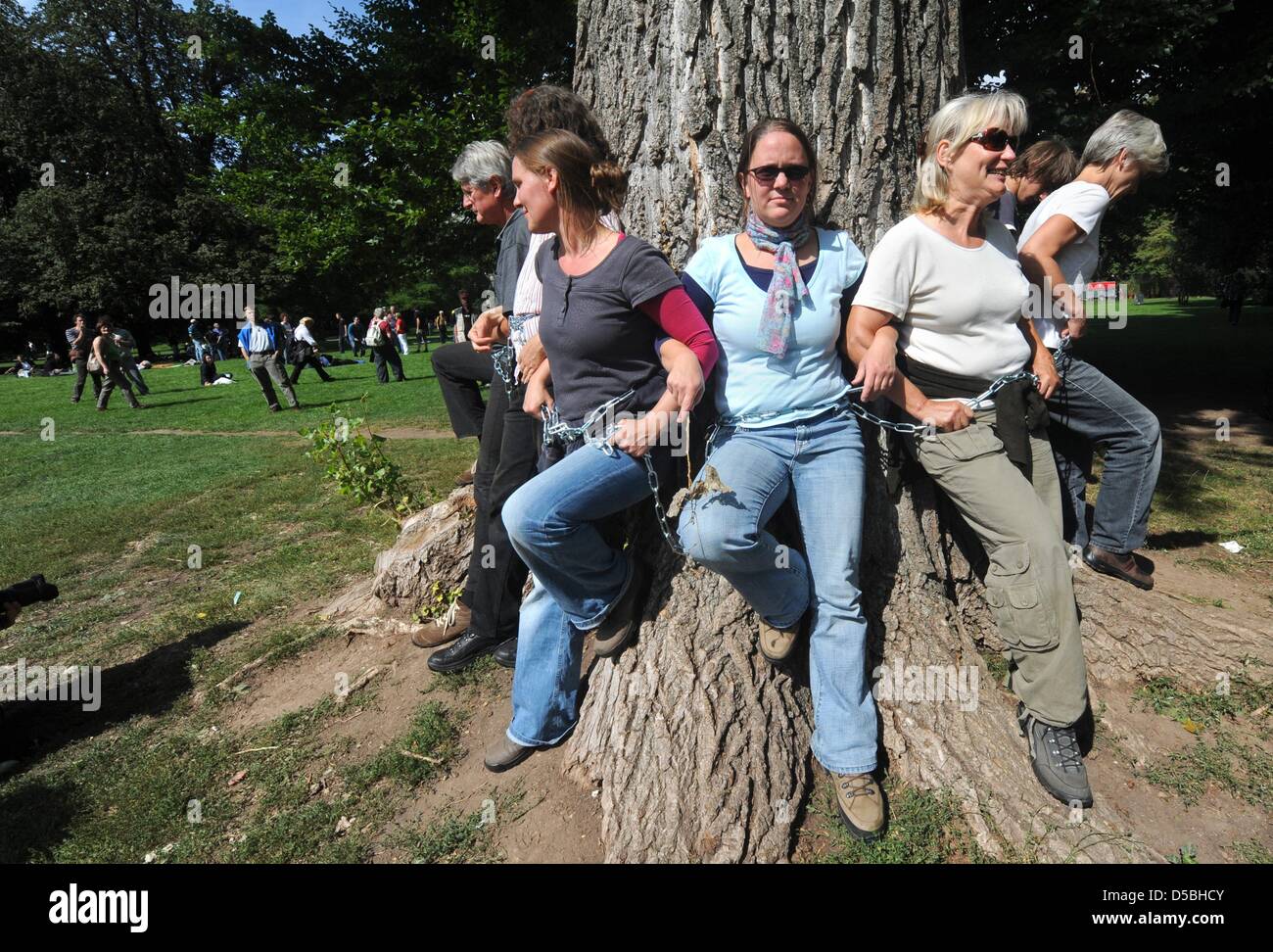 Environmental activists chained themselves onto a cottonwood tree in ...