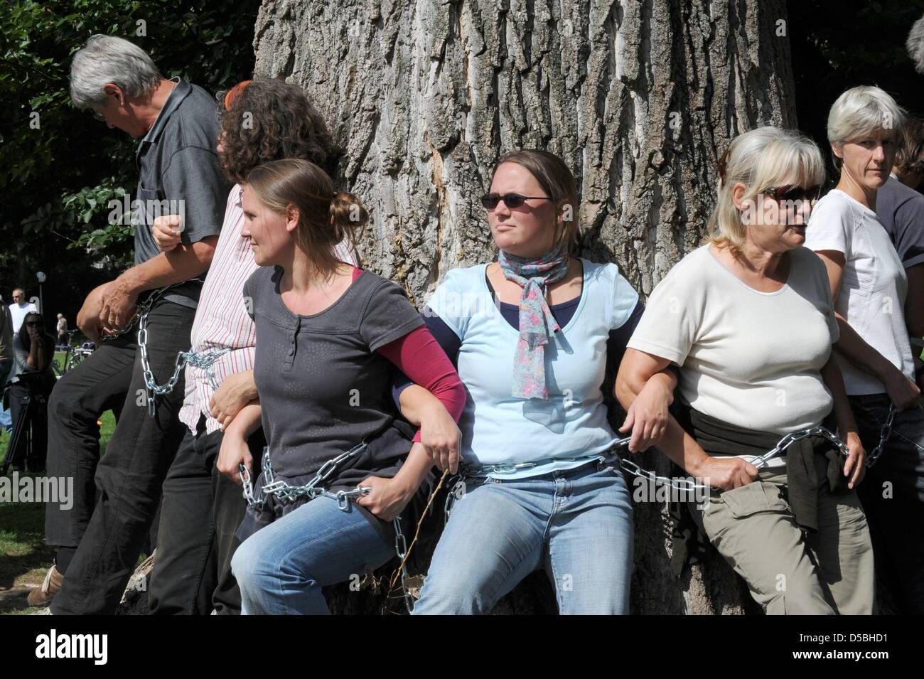 Chaining trees hi-res stock photography and images - Alamy