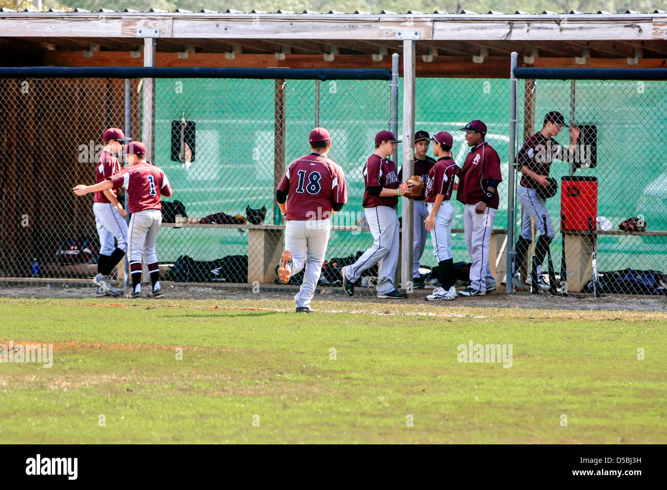 Cardinal Mooney High School Baseball team - the Cougars taking on the ...