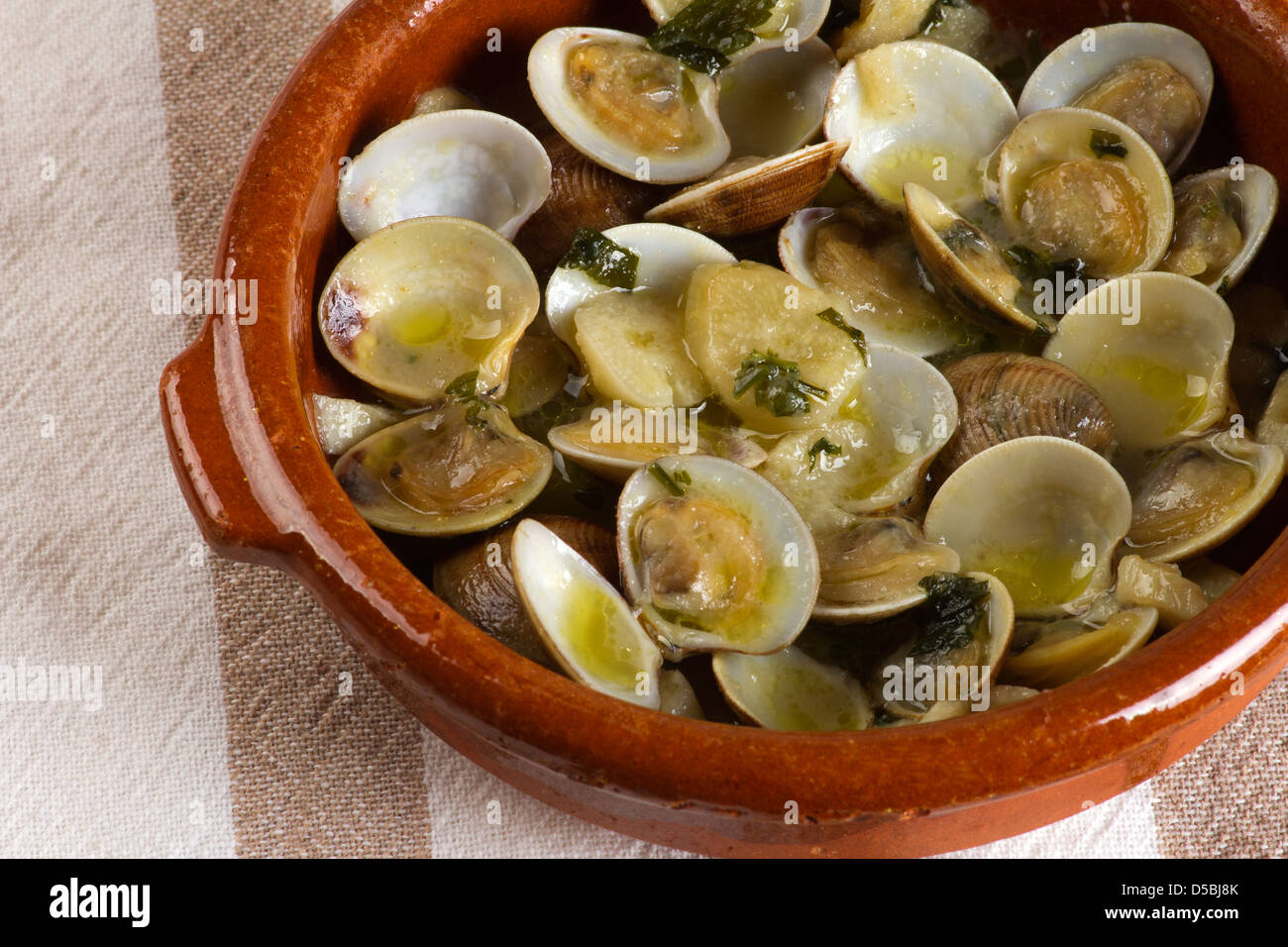 Clams, Clams Close-up Stock Photo - Alamy