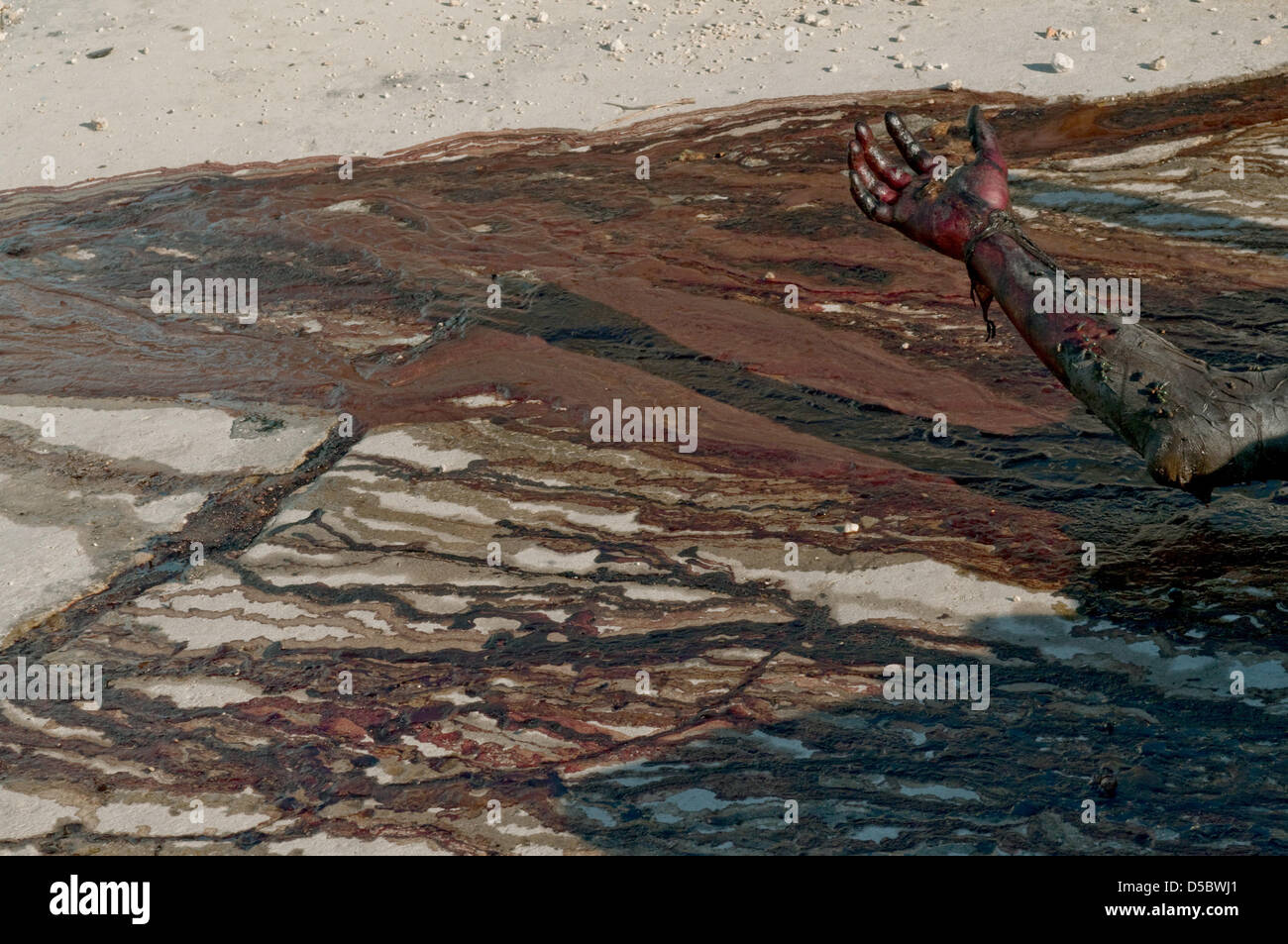 A picture dated 16 January 2010 shows a corpse lying in a pool of blood ...