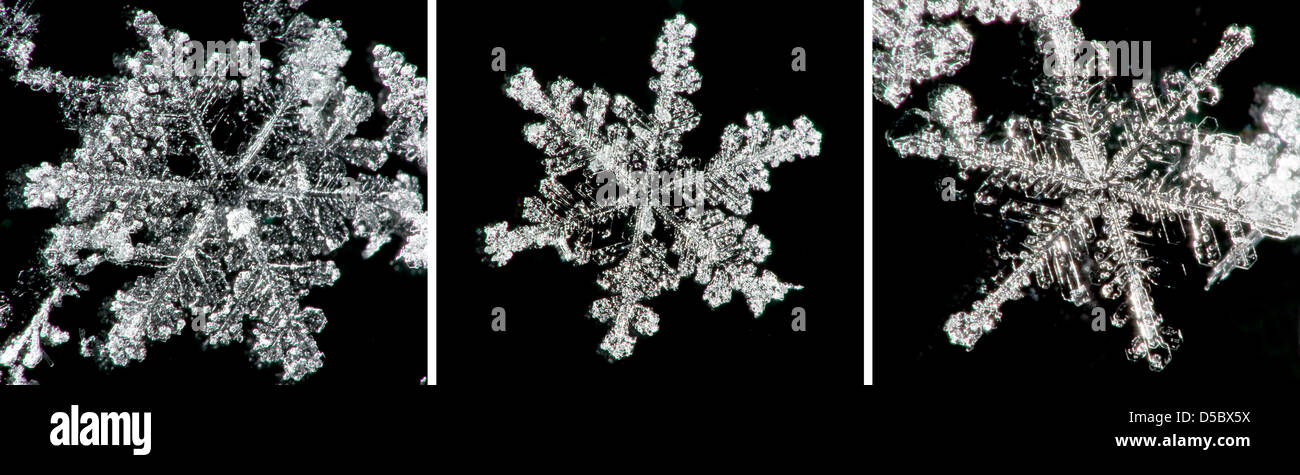 The composite photo shows three diffferent snow crystals depicted with ...