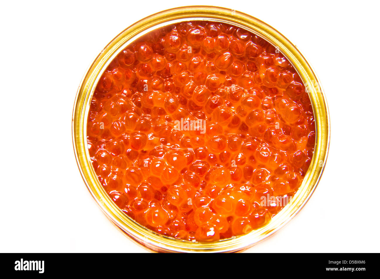 High Quality Russian Red Caviar in can isolated on white backgrond ...