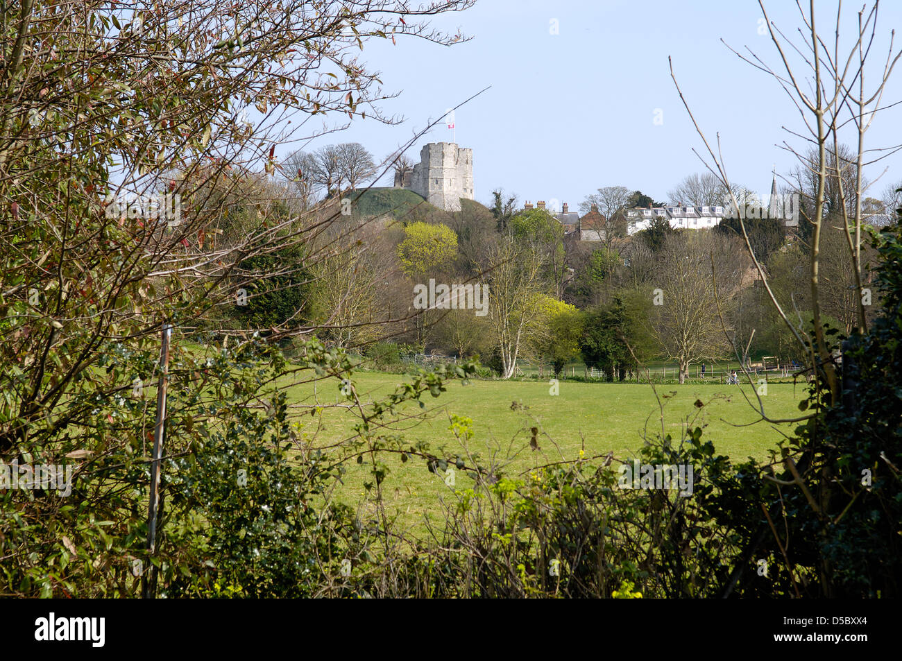 Field through tree leaves hi-res stock photography and images - Alamy