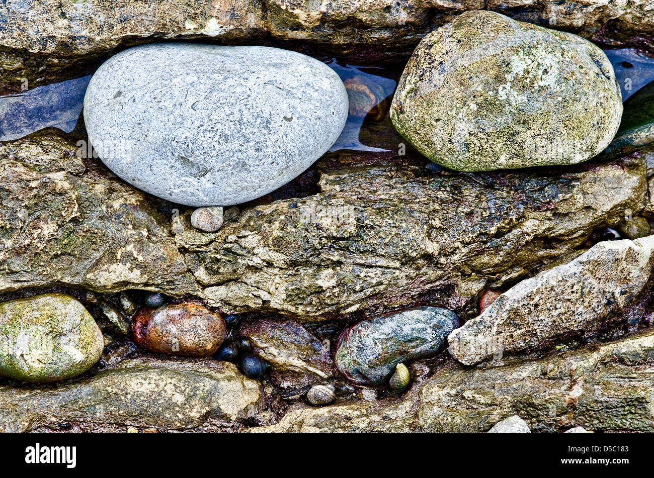 Stones on Beach Stock Photo - Alamy