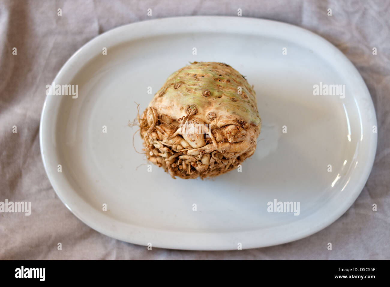 Celery bulb hi-res stock photography and images - Alamy