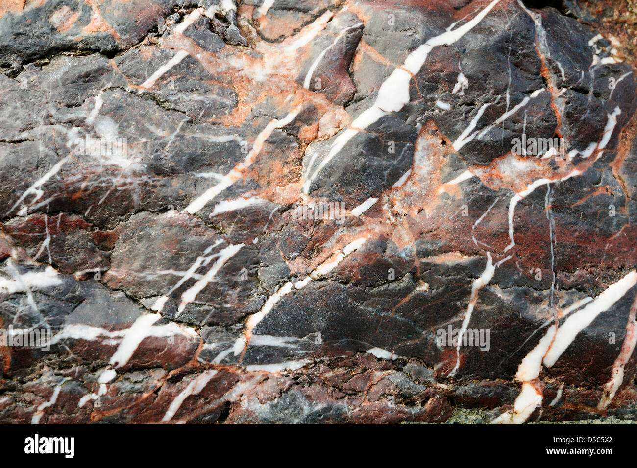 Closeup of a granite block with seams of white quartz running through ...