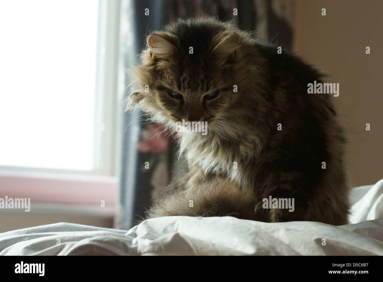 Get up bed hi-res stock photography and images - Alamy