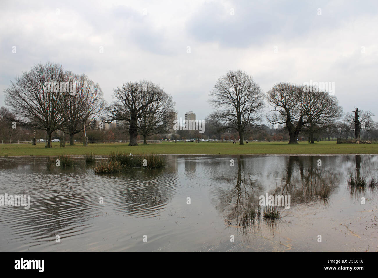 Alton estate roehampton hi-res stock photography and images - Alamy