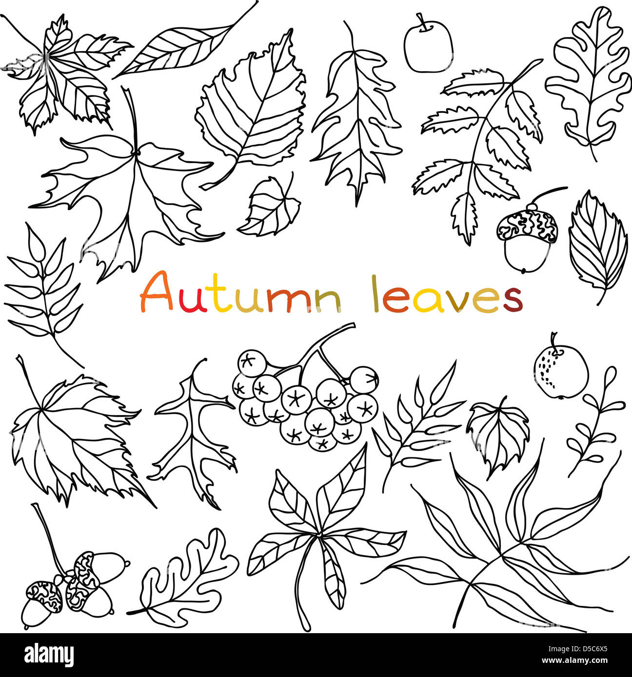 Autumn leaves doodles set Stock Photo - Alamy