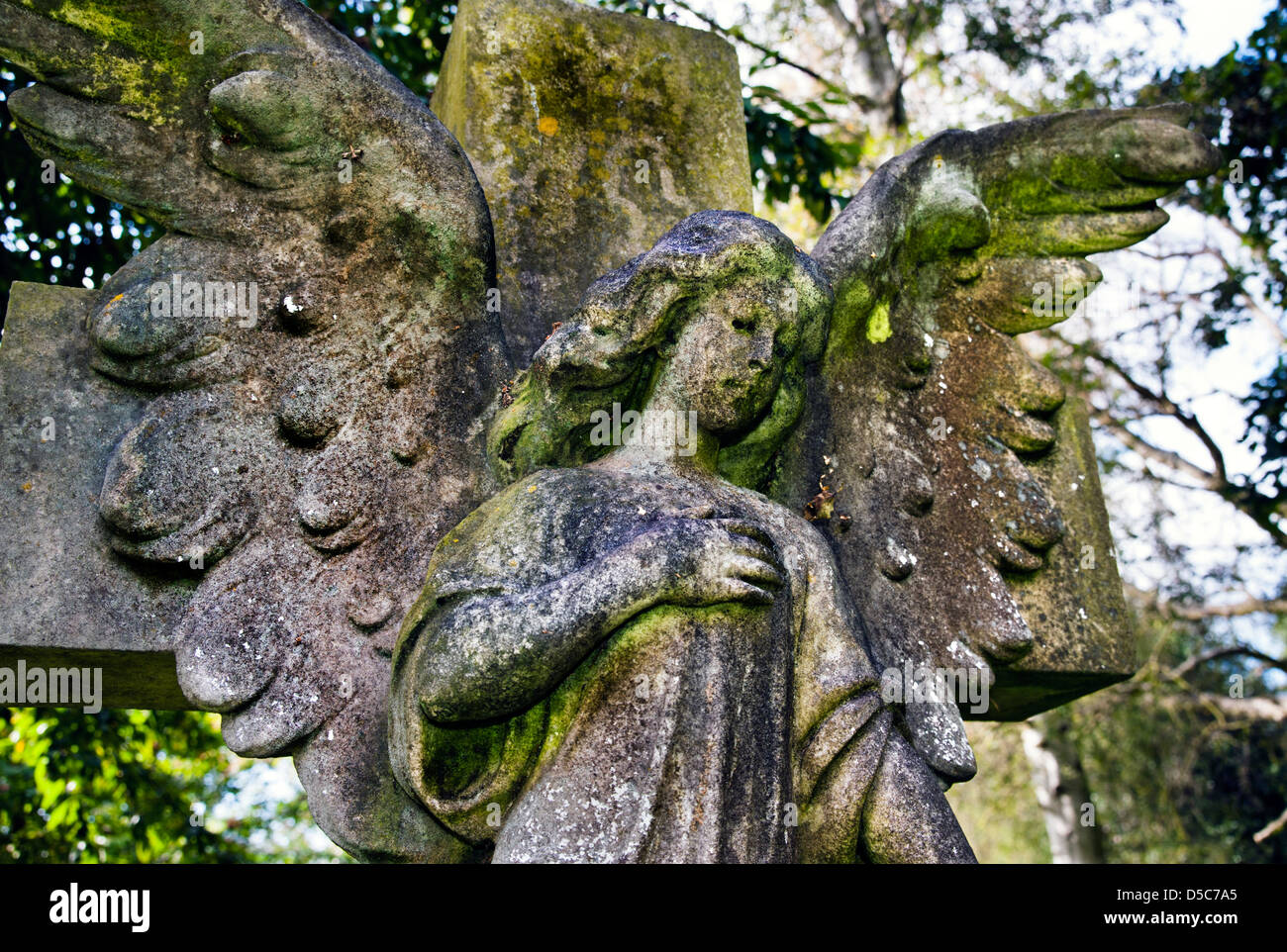 Angel on tomb in cemetery at Shifnal, Shropshire, UK Stock Photo - Alamy