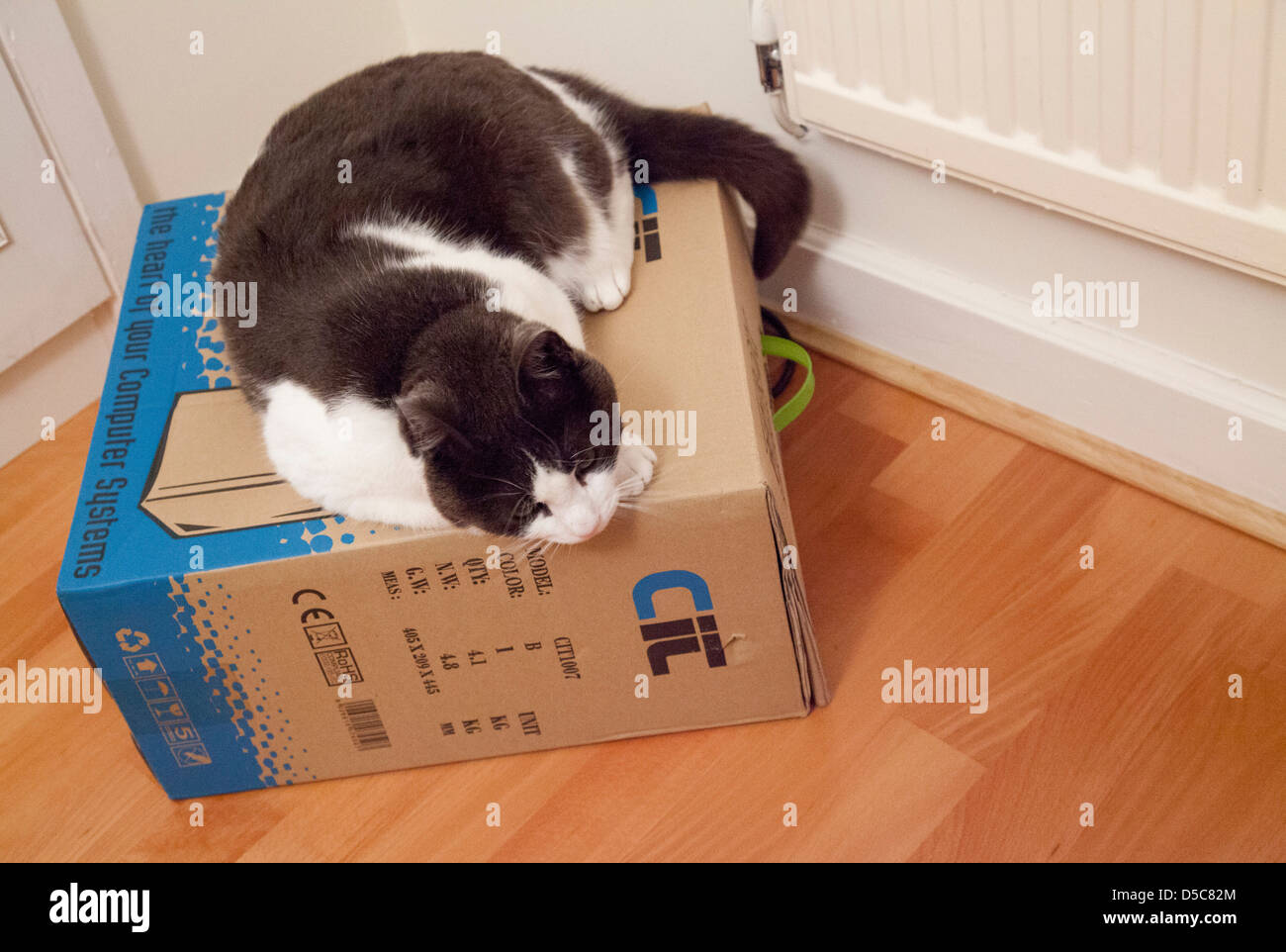 Packaging box hi-res stock photography and images - Alamy