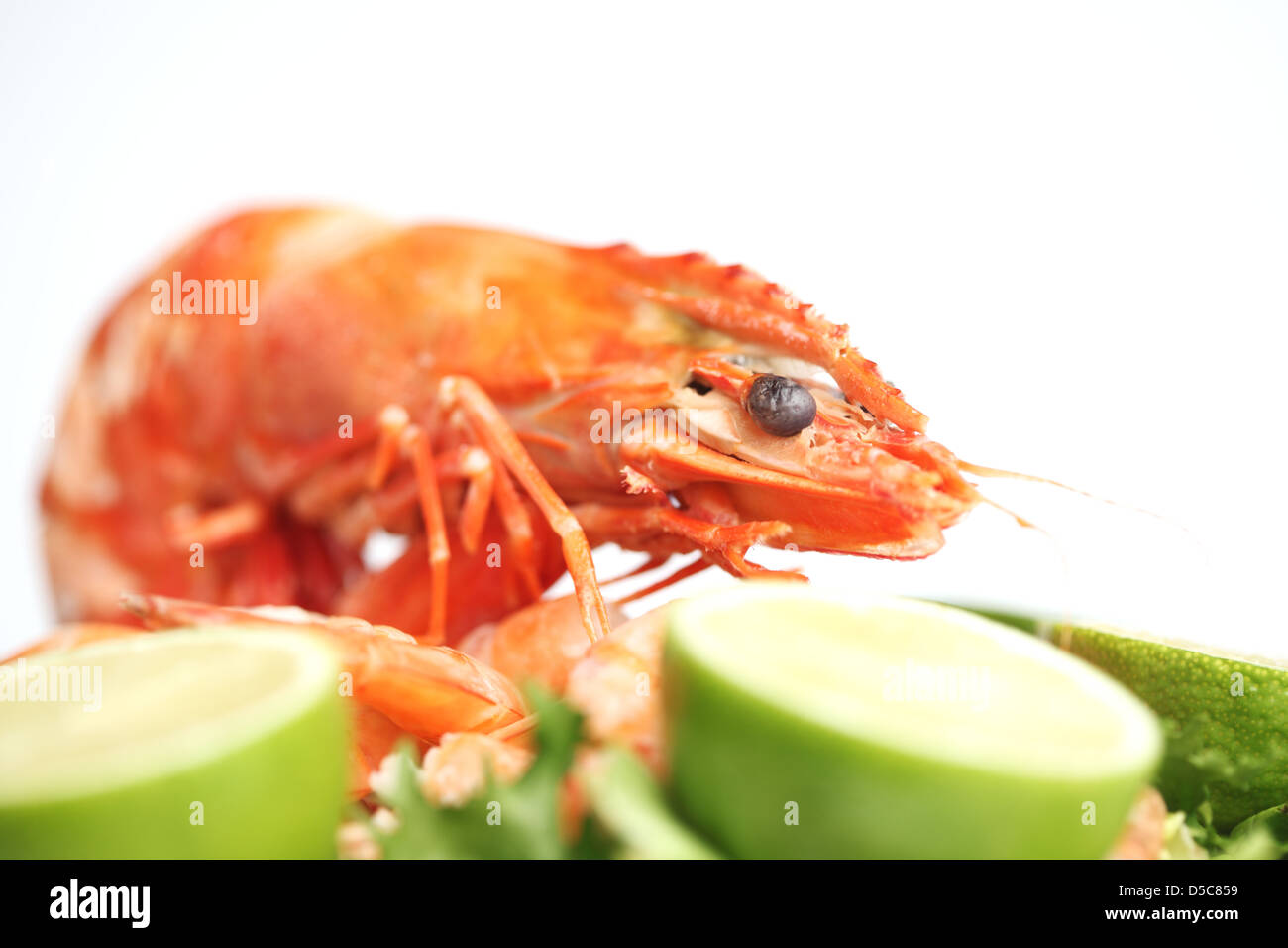 shrimp background macro close up Stock Photo - Alamy